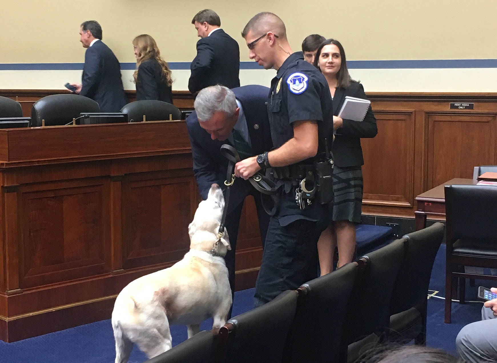 Most federal bomb-sniffing dogs from outside U.S., canine security ...